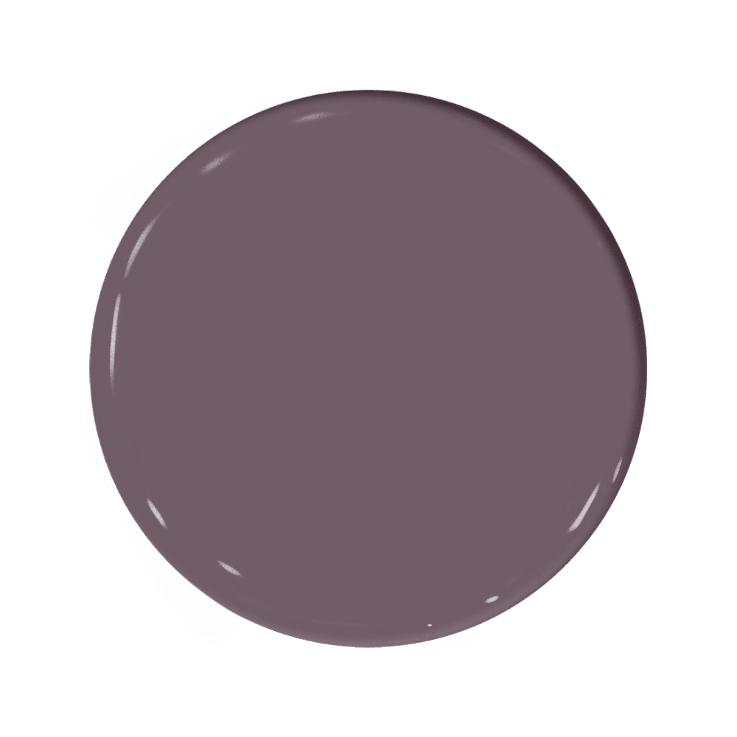 Rich Loam BD21 — Dusty Brown | C2 Paint