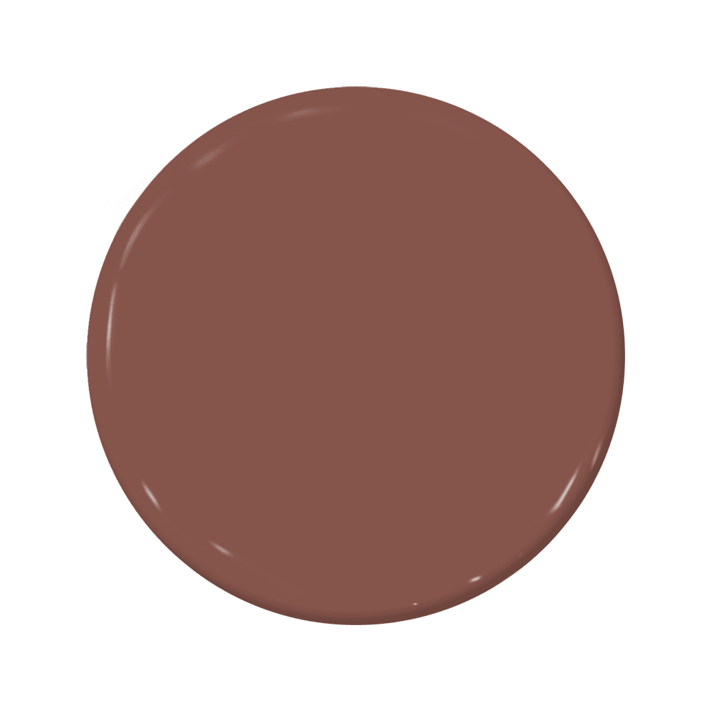 paint-Ginger Snap - C2-581-C2 Paint