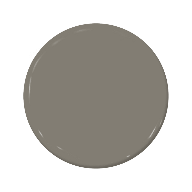 Barnacle C2-872-Barnacle - C2-872-C2 Paint